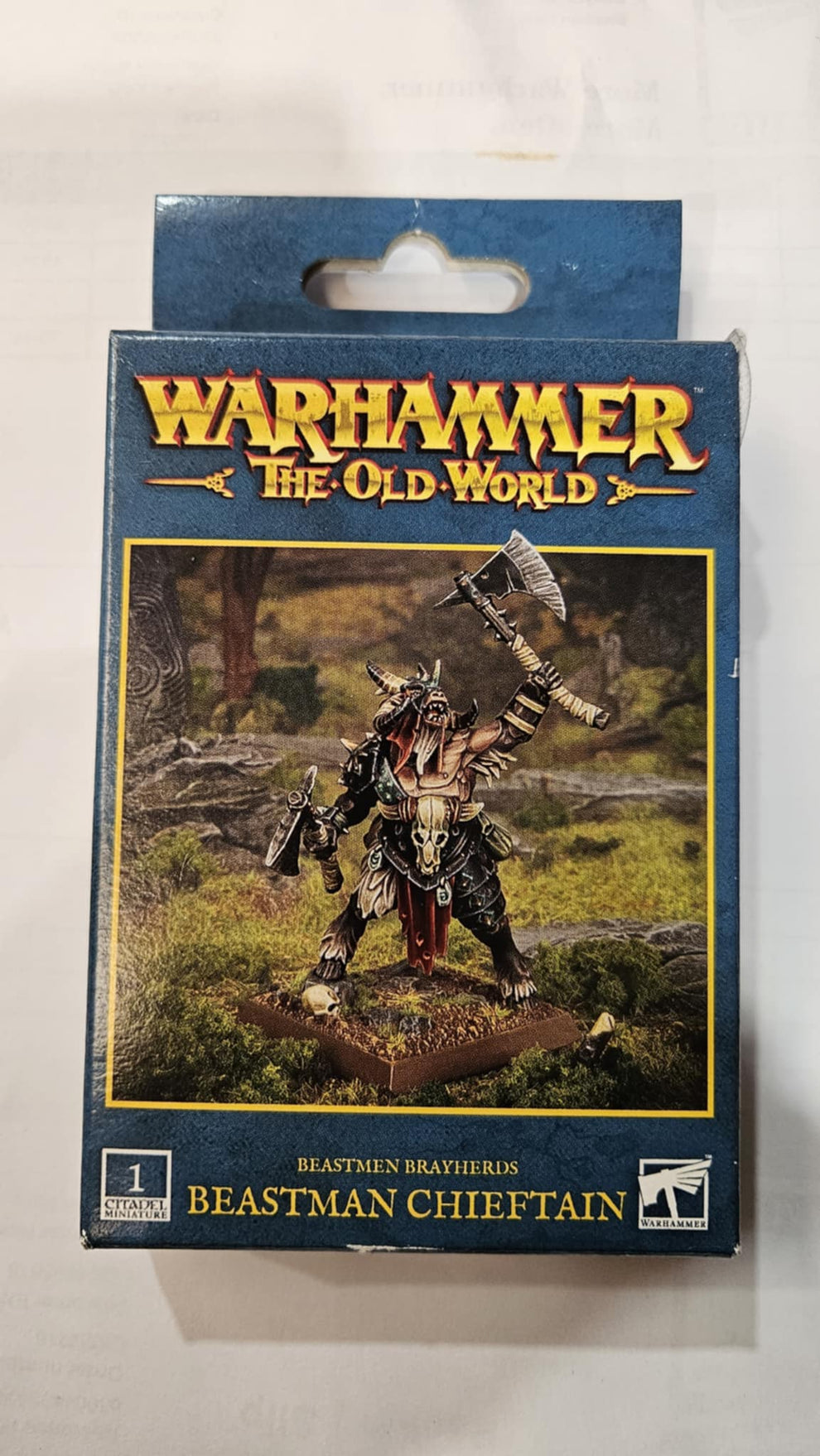 Beastman Chieftain – The Combat Company